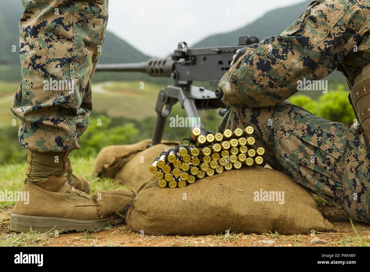 Marines with Weapons Company, Battalion Landing Team, 3rd Battalion ...