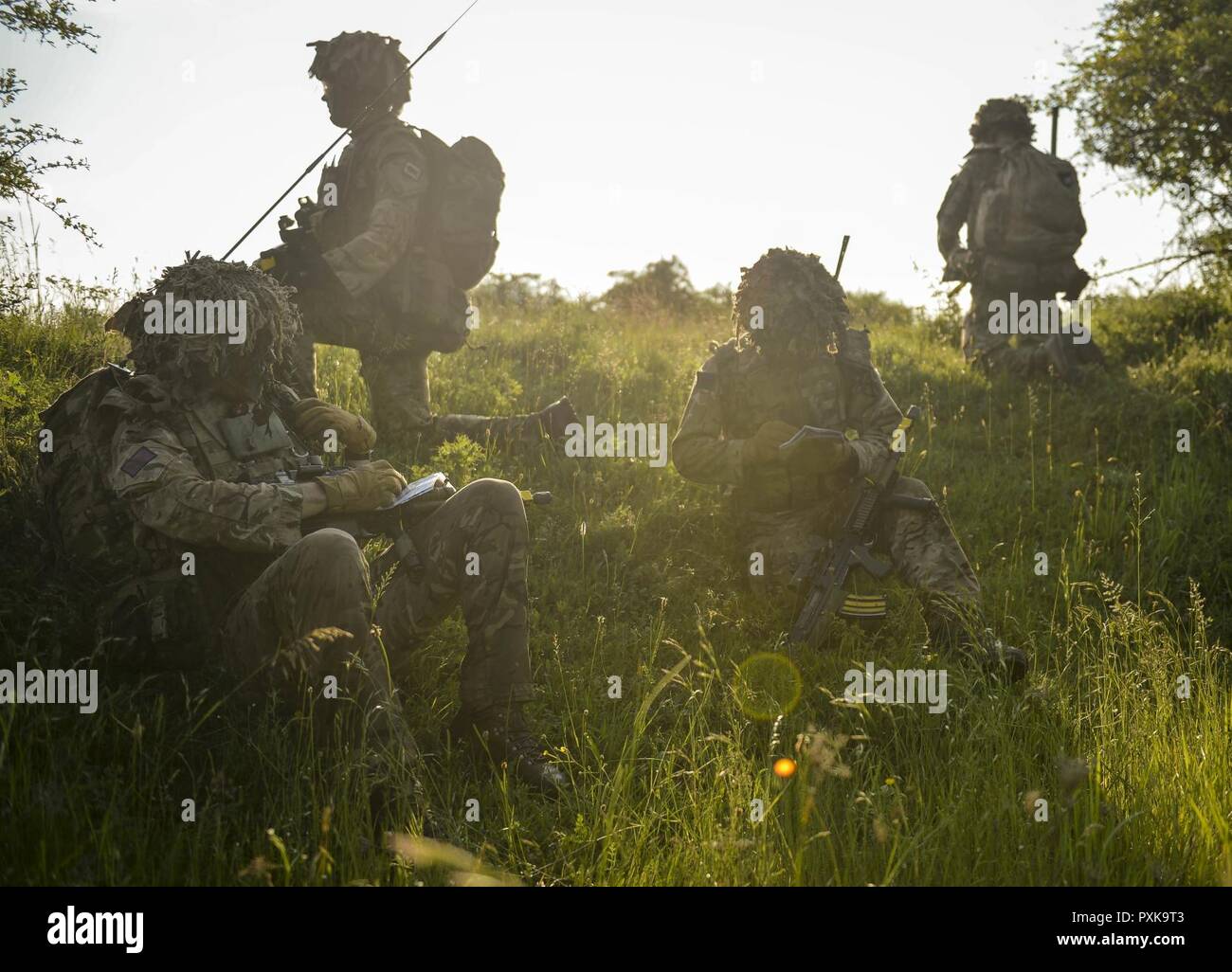 Image: NATO troops from the Grenadier Guards (UK) take part in a joint ...