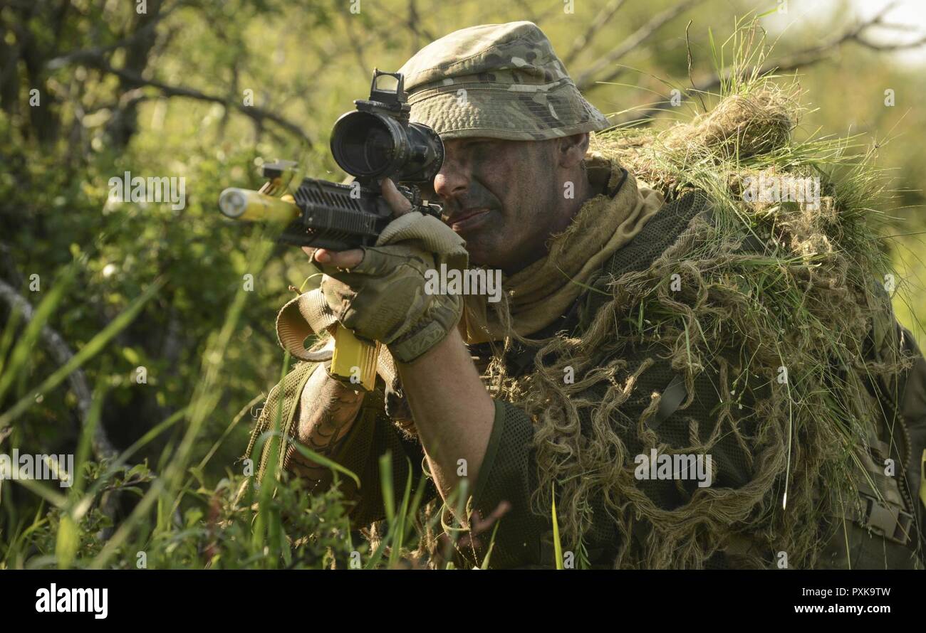 Image: NATO troops from the Grenadier Guards (UK) take part in a joint ...