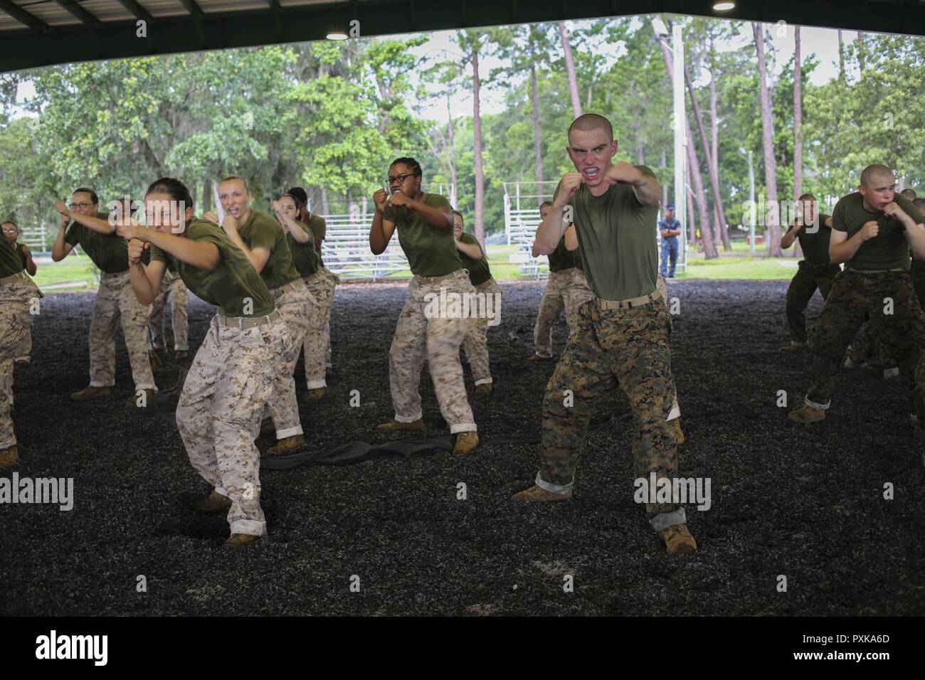 U.S. Marine Corps recruits with Papa Company, 4th Recruit Training ...