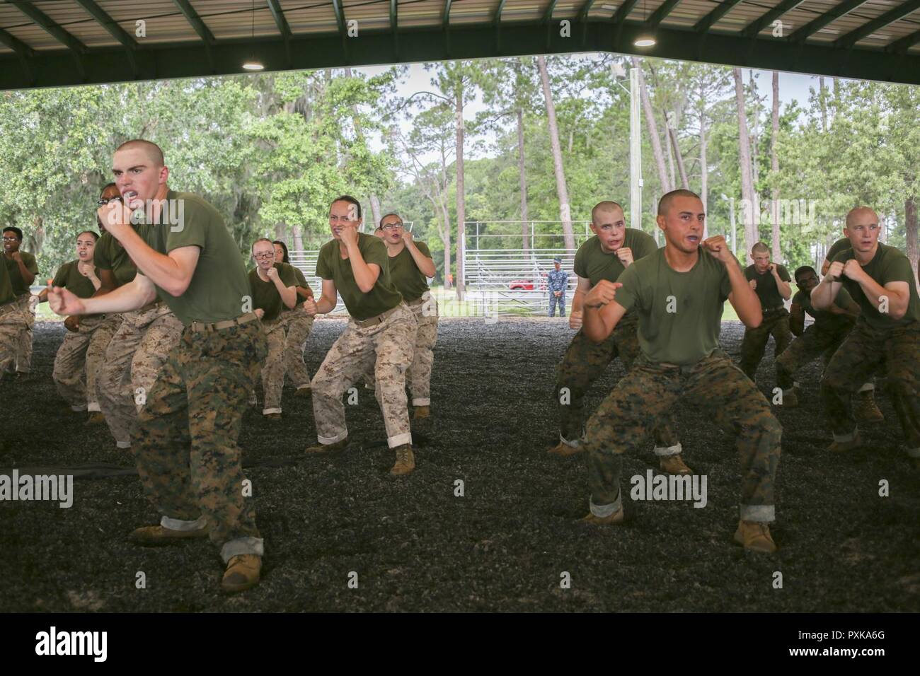 U.S. Marine Corps recruits with Papa Company, 4th Recruit Training ...
