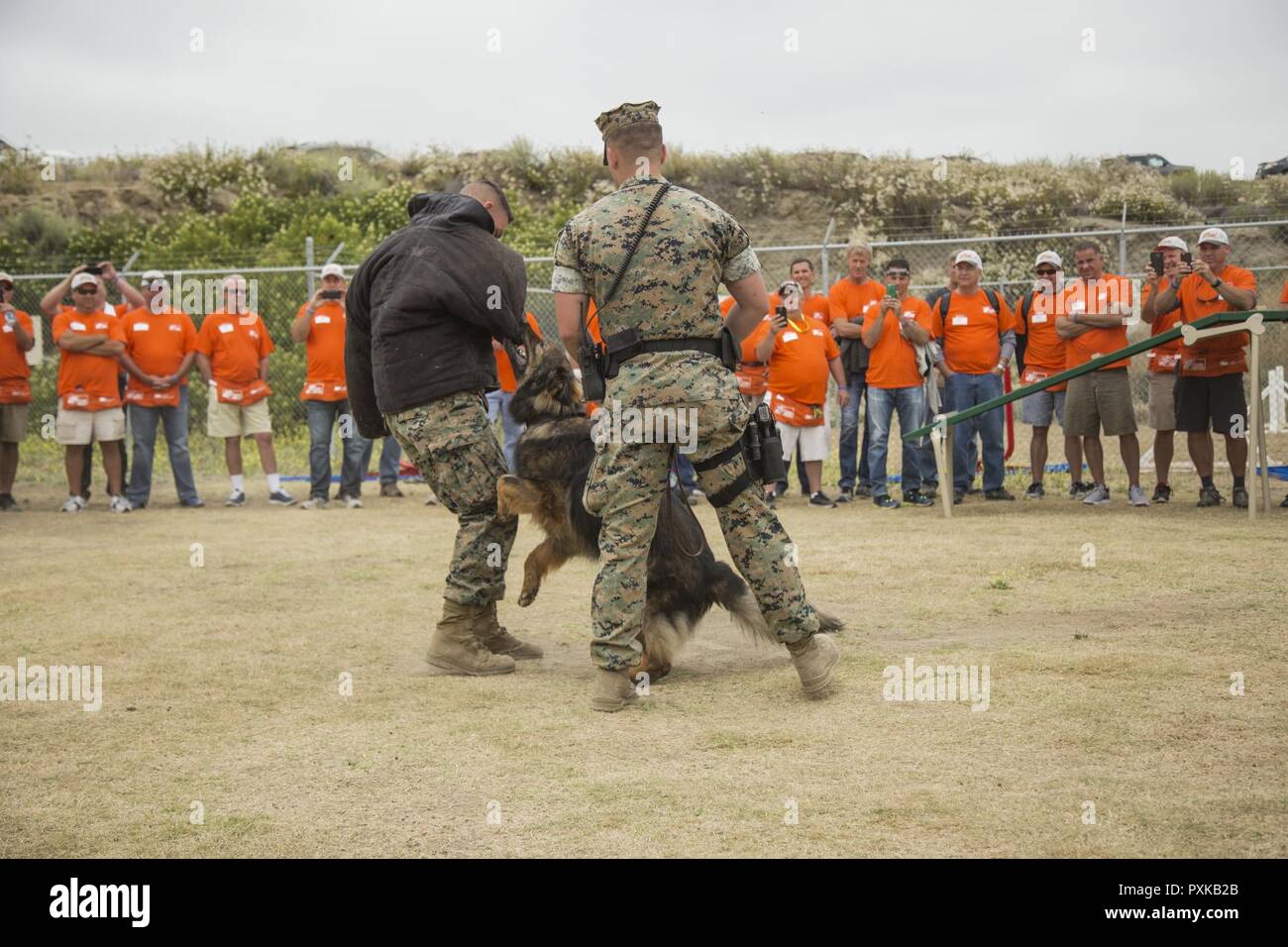 U.S. Marine Cpl Tyler Mantia with Camp Pendleton Military Police K9 ...