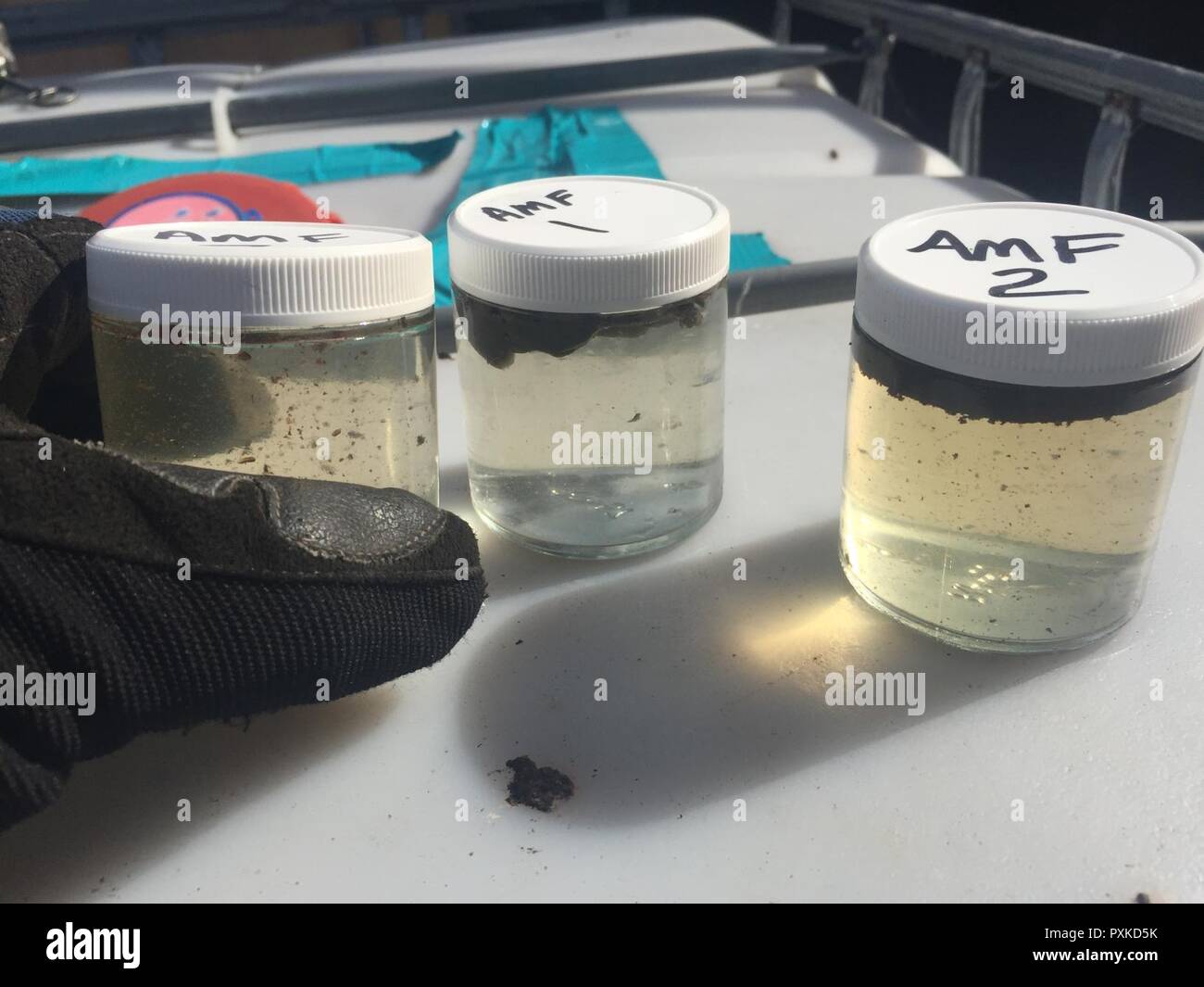 Hazardous materials testing hi-res stock photography and images - Alamy