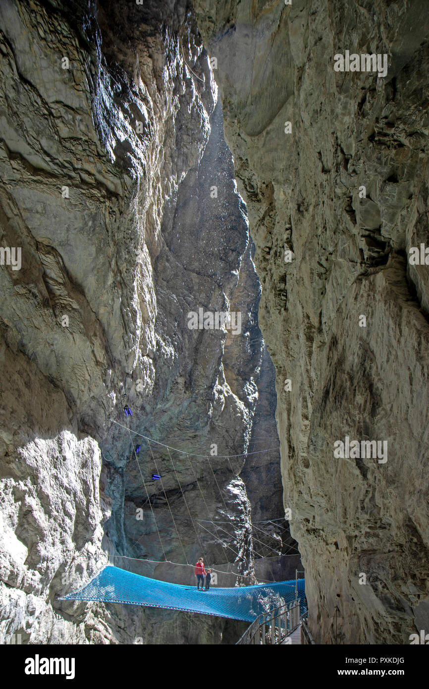 Net web spider hi-res stock photography and images - Alamy