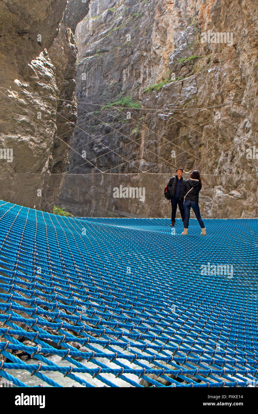 Net web spider hi-res stock photography and images - Alamy