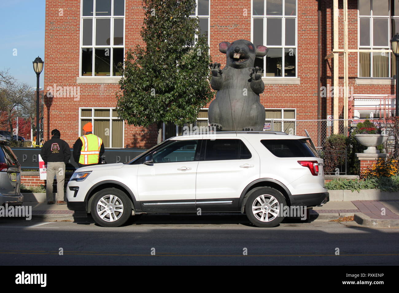 Oversized fat Blow up rat, rodentia, used as a prop for labor strikes ...