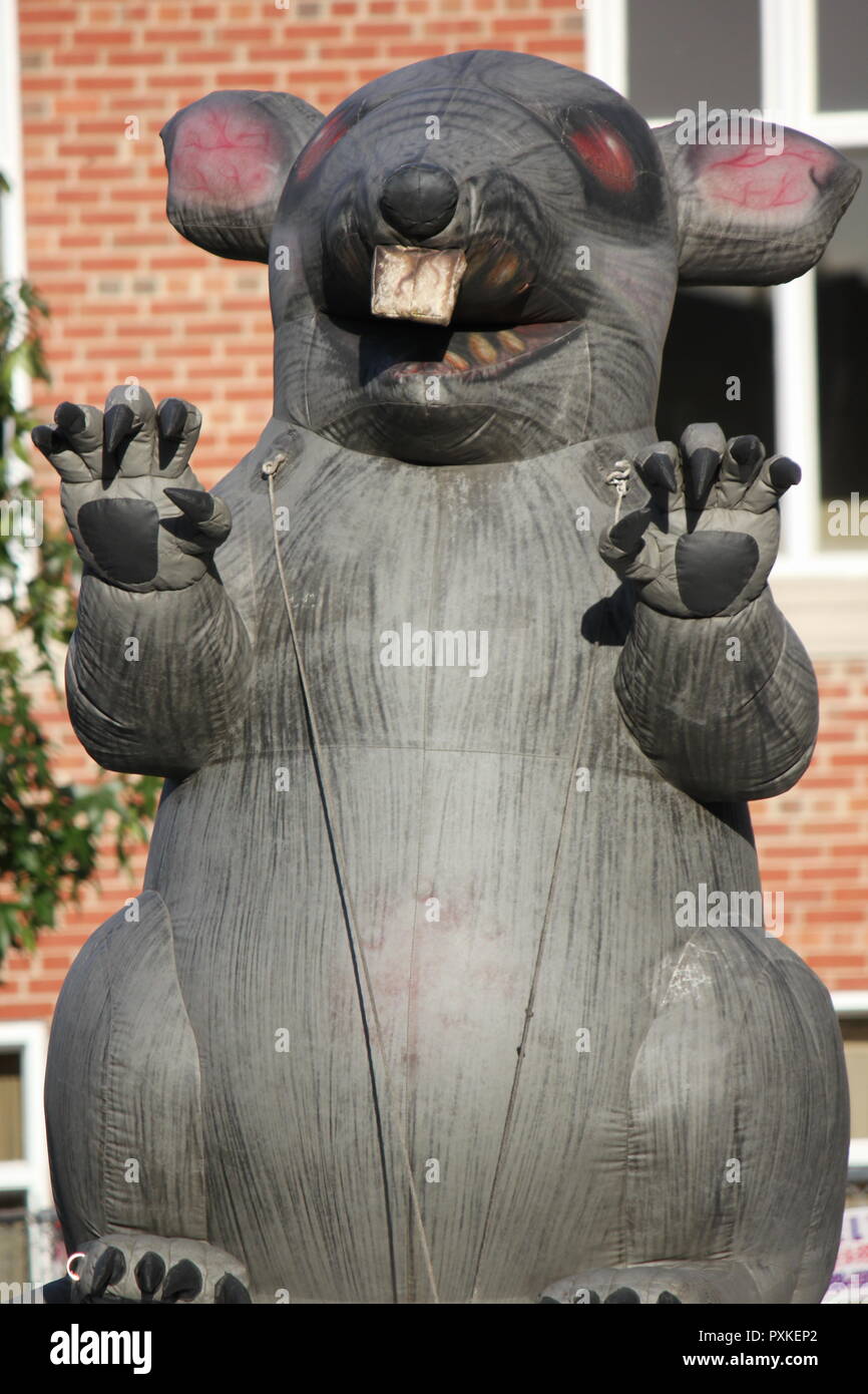 Blow up rat hi-res stock photography and images - Alamy