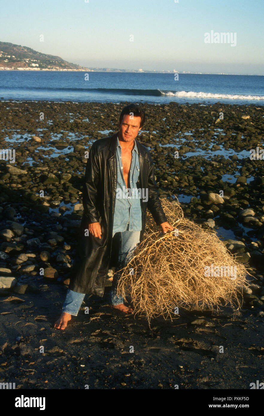 MALIBU, CA - NOVEMBER 12: (EXCLUSIVE) Actor Anthony Addabbo poses ...