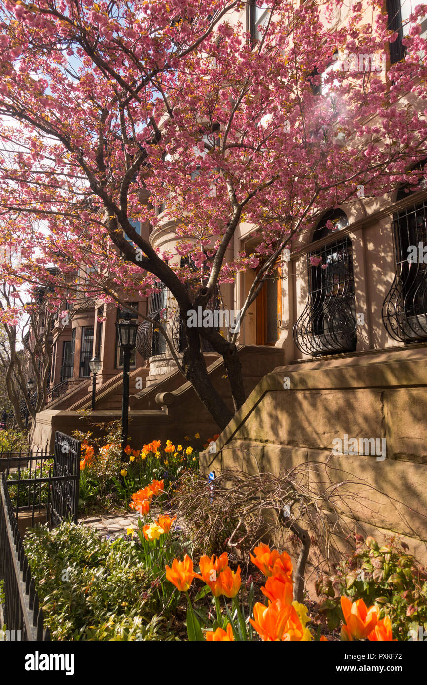 Park Slope street scene Brooklyn NYC Stock Photo - Alamy
