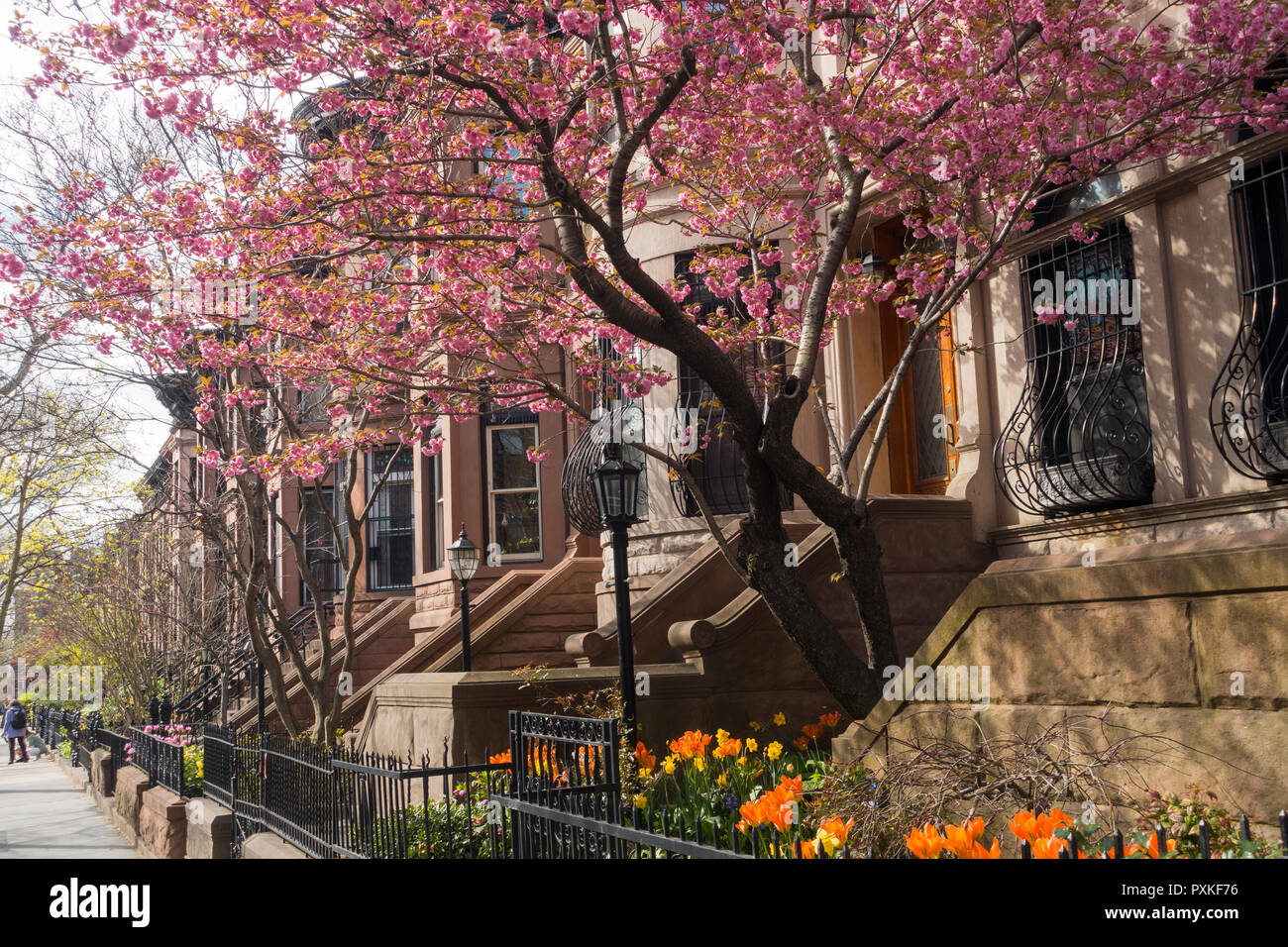 Park Slope street scene Brooklyn NYC Stock Photo - Alamy