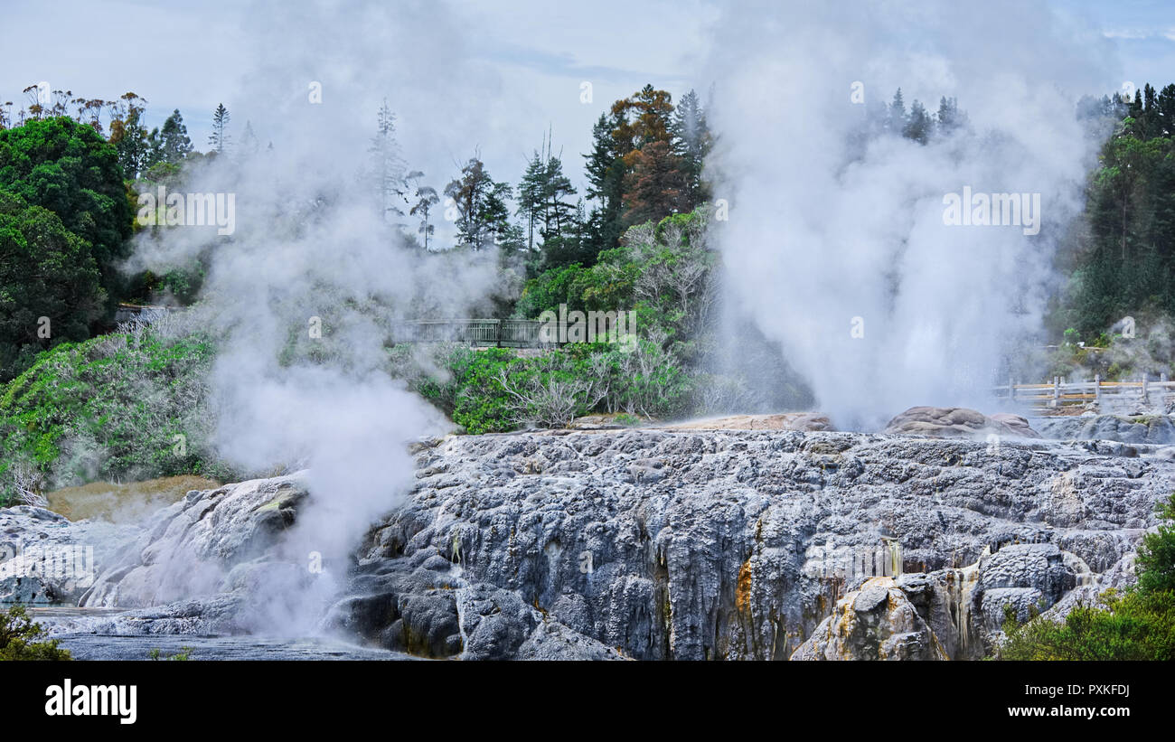 Te puke new zealand hi-res stock photography and images - Alamy