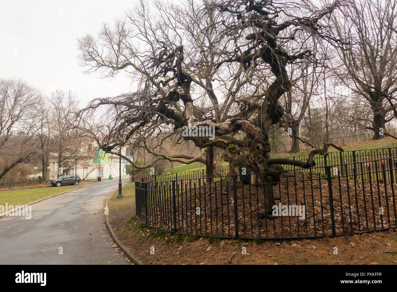 Prospect Park Brooklyn NYC Stock Photo - Alamy