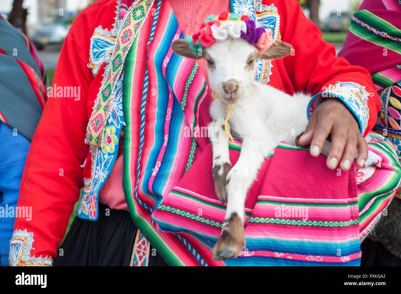 They call them "llamitas" because often bring with them a lama, but you ...