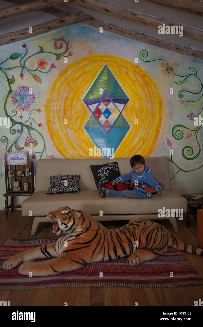 Patricia Bartra is the owner of the house Yilla Wasi, in "The rinconada ...