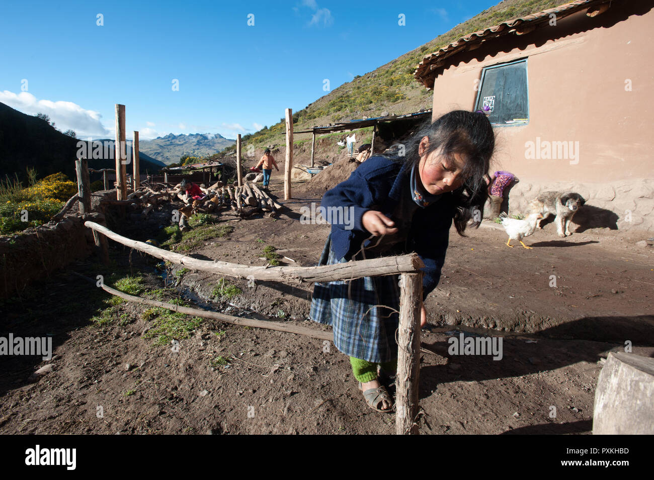 Potato park peru hi-res stock photography and images - Alamy