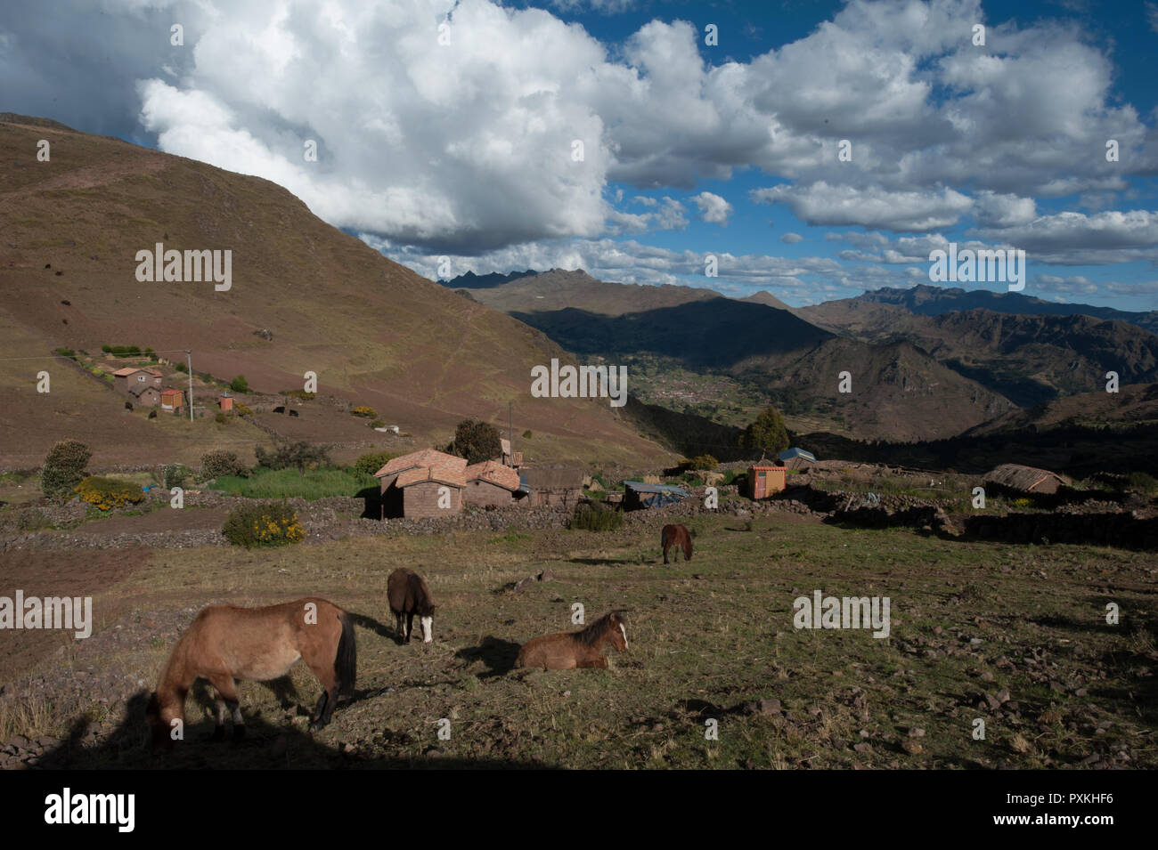 The CIP, the International Potato Center with headquarters in Lima is ...