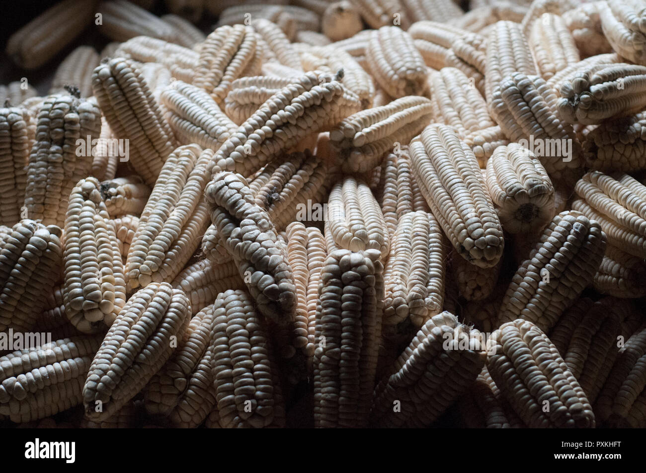 White maize hi-res stock photography and images - Alamy