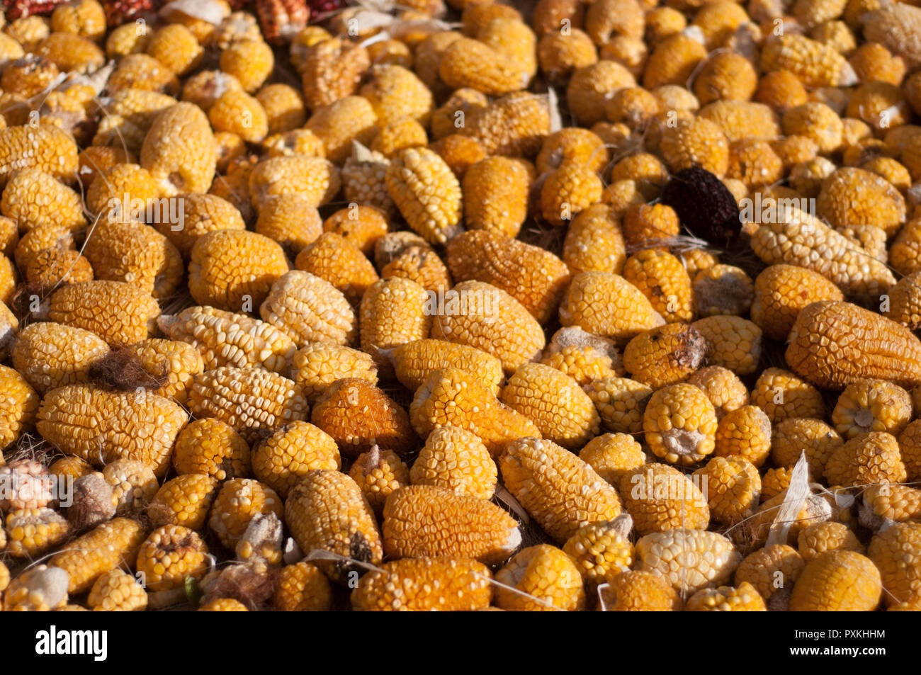 Peruvian corn hi-res stock photography and images - Alamy