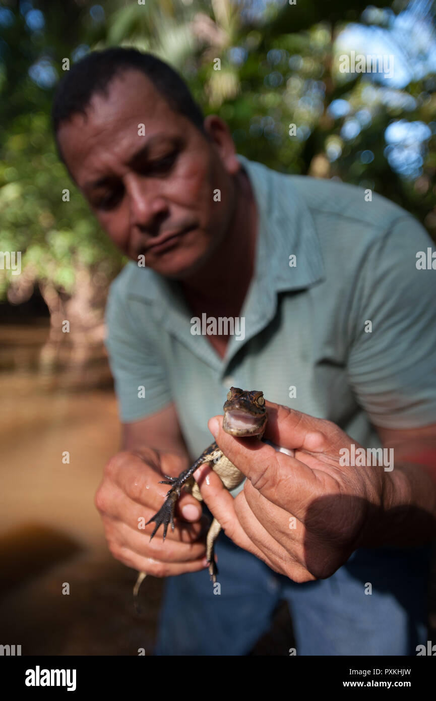 Los guatuzos hi-res stock photography and images - Alamy