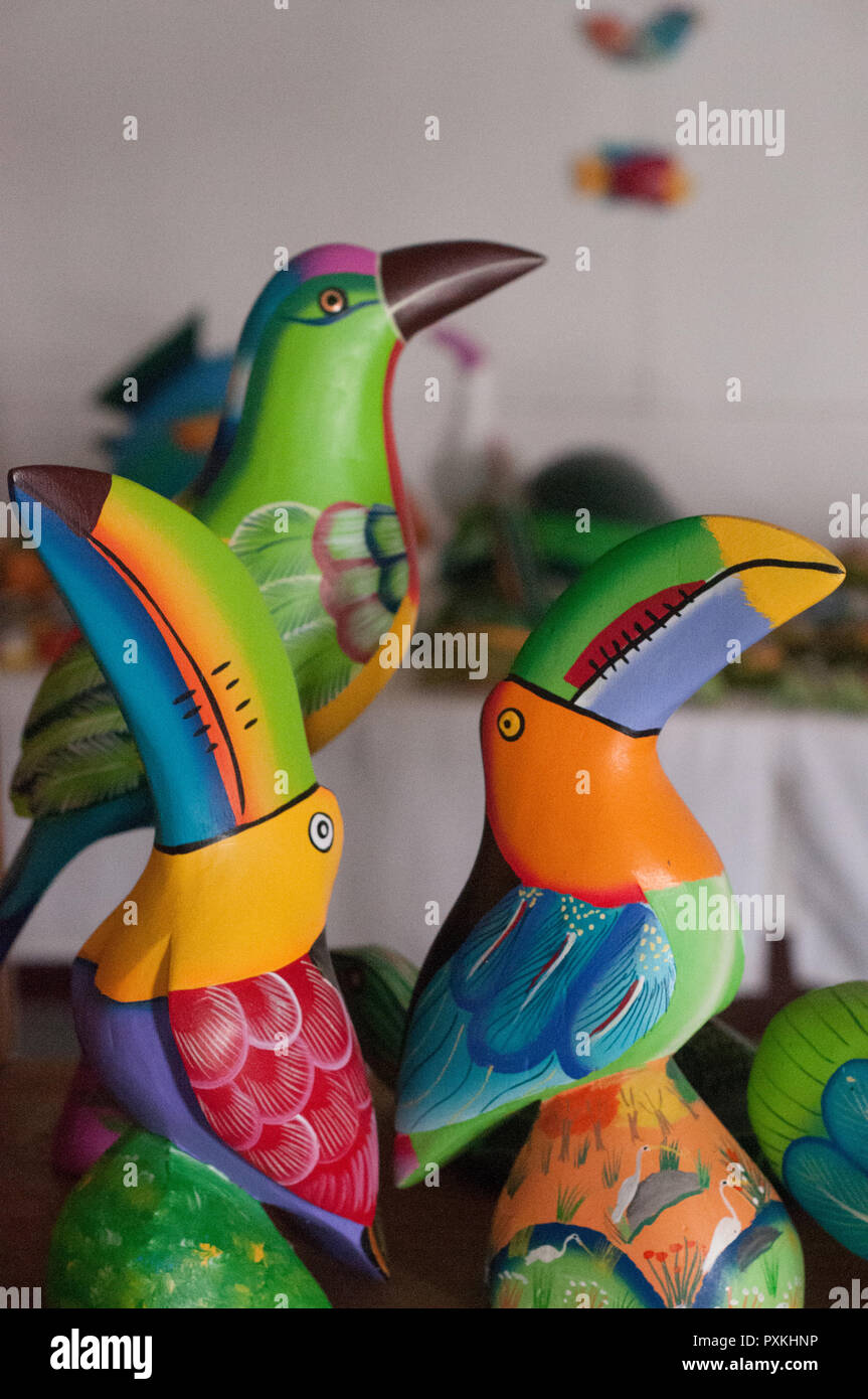 Balsa tree hi-res stock photography and images - Alamy