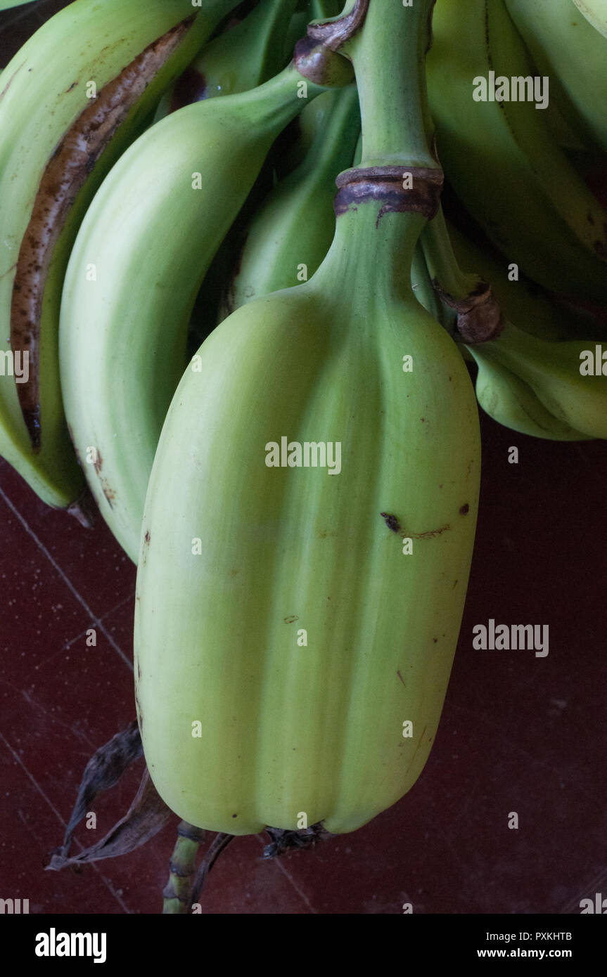 Strange banana form Ometepe Island, Nicaragua Stock Photo - Alamy