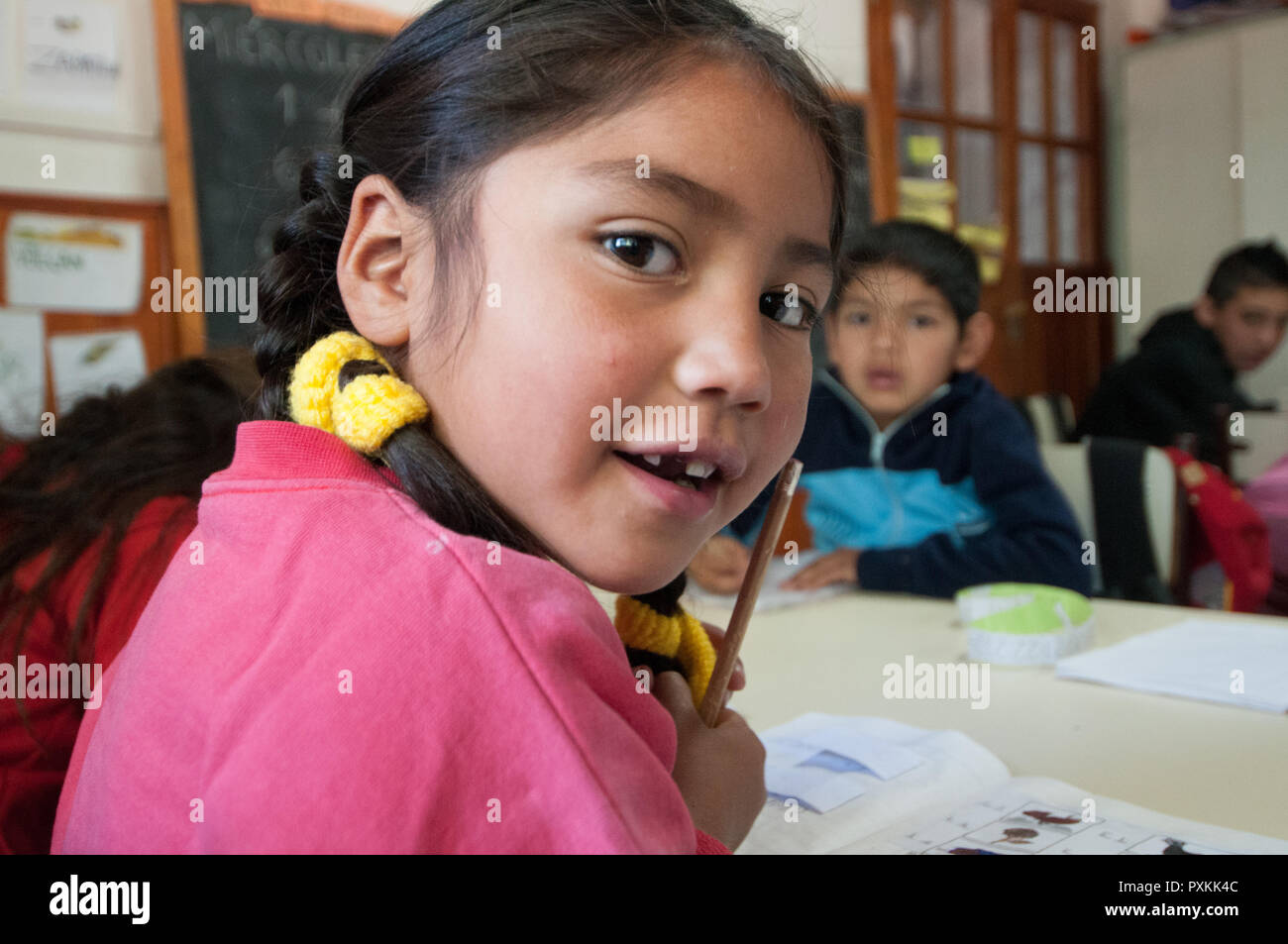 Mapuche language lesson in the school of the native Mapuche communities ...