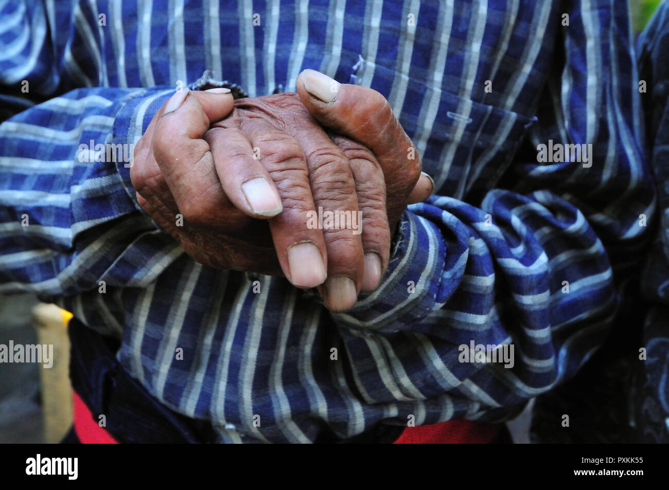 The hands of Don Ramiro, native Mapuche communities of El Salitral, in ...