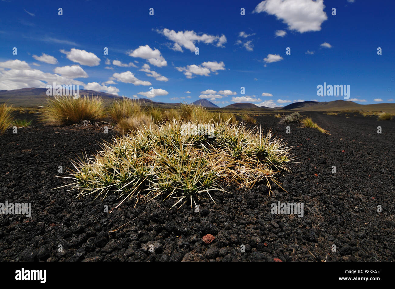 Summer volcanoes and rocks hi-res stock photography and images - Alamy