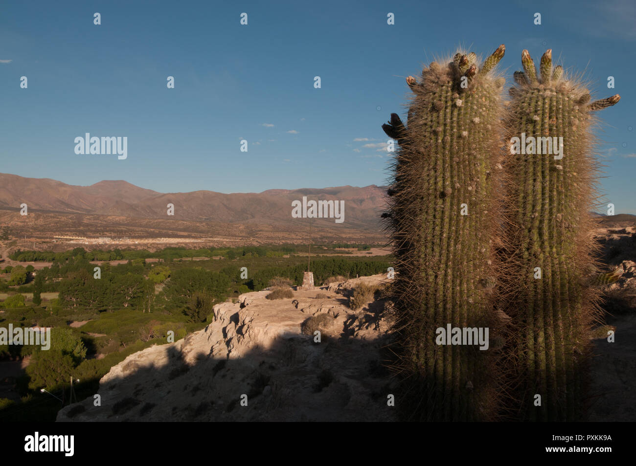 Cactus and views of the Quebrada de Humahuaca Stock Photo - Alamy