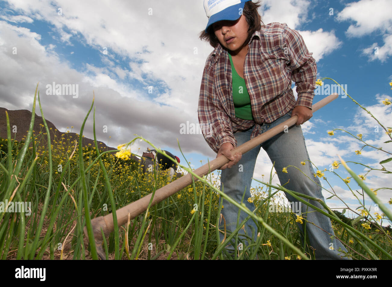 Farmer works in fields hi-res stock photography and images - Alamy
