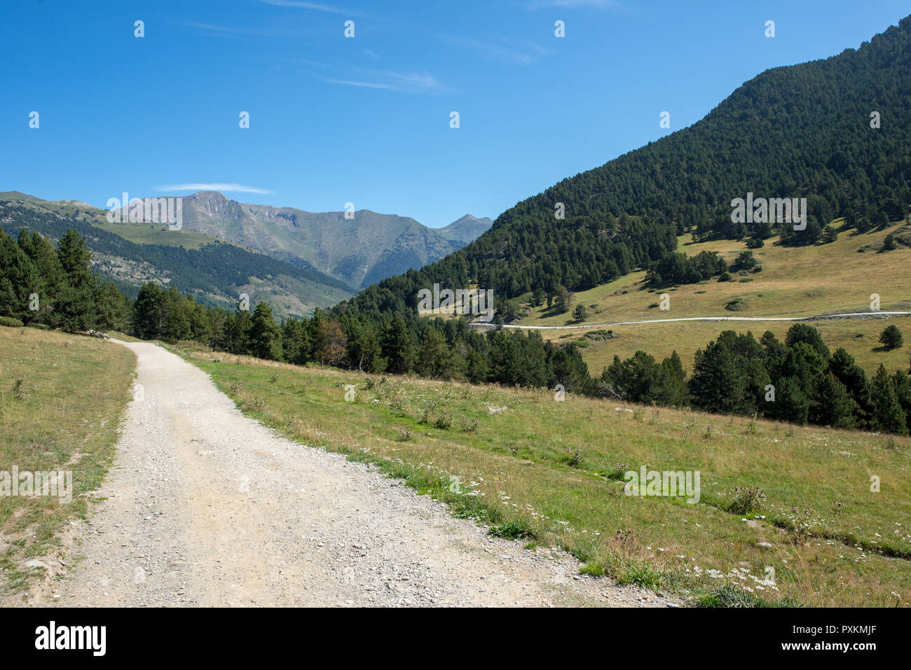 Road to Montgarri in the valley of Aran, Spain Stock Photo - Alamy