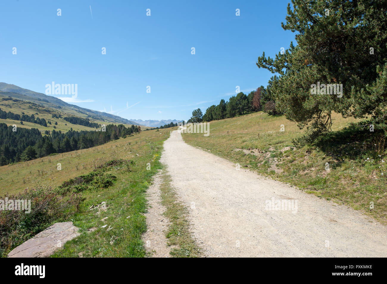 Road to Montgarri in the valley of Aran, Spain Stock Photo - Alamy