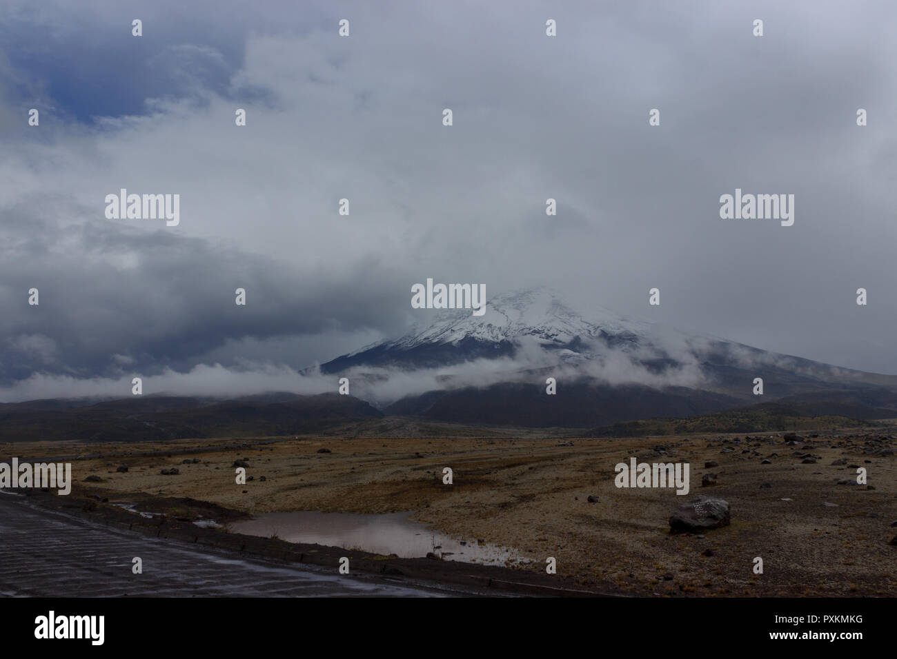 View on the strato vulcano cotopaxi, ecuador Stock Photo - Alamy
