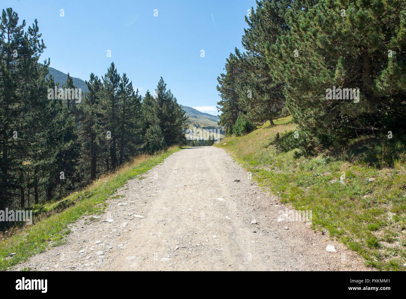Road to Montgarri in the valley of Aran, Spain Stock Photo - Alamy