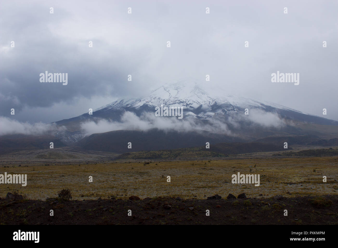 View on the strato vulcano cotopaxi, ecuador Stock Photo - Alamy