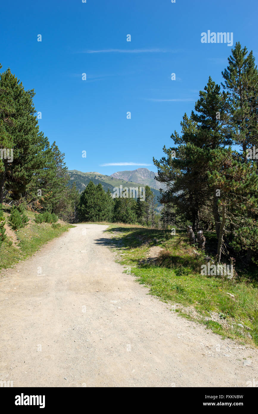 Road to Montgarri in the valley of Aran, Spain Stock Photo - Alamy