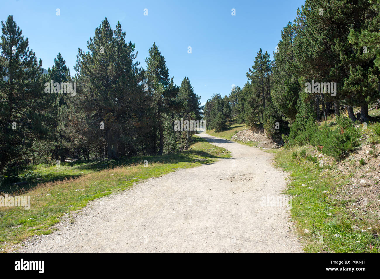 Road to Montgarri in the valley of Aran, Spain Stock Photo - Alamy