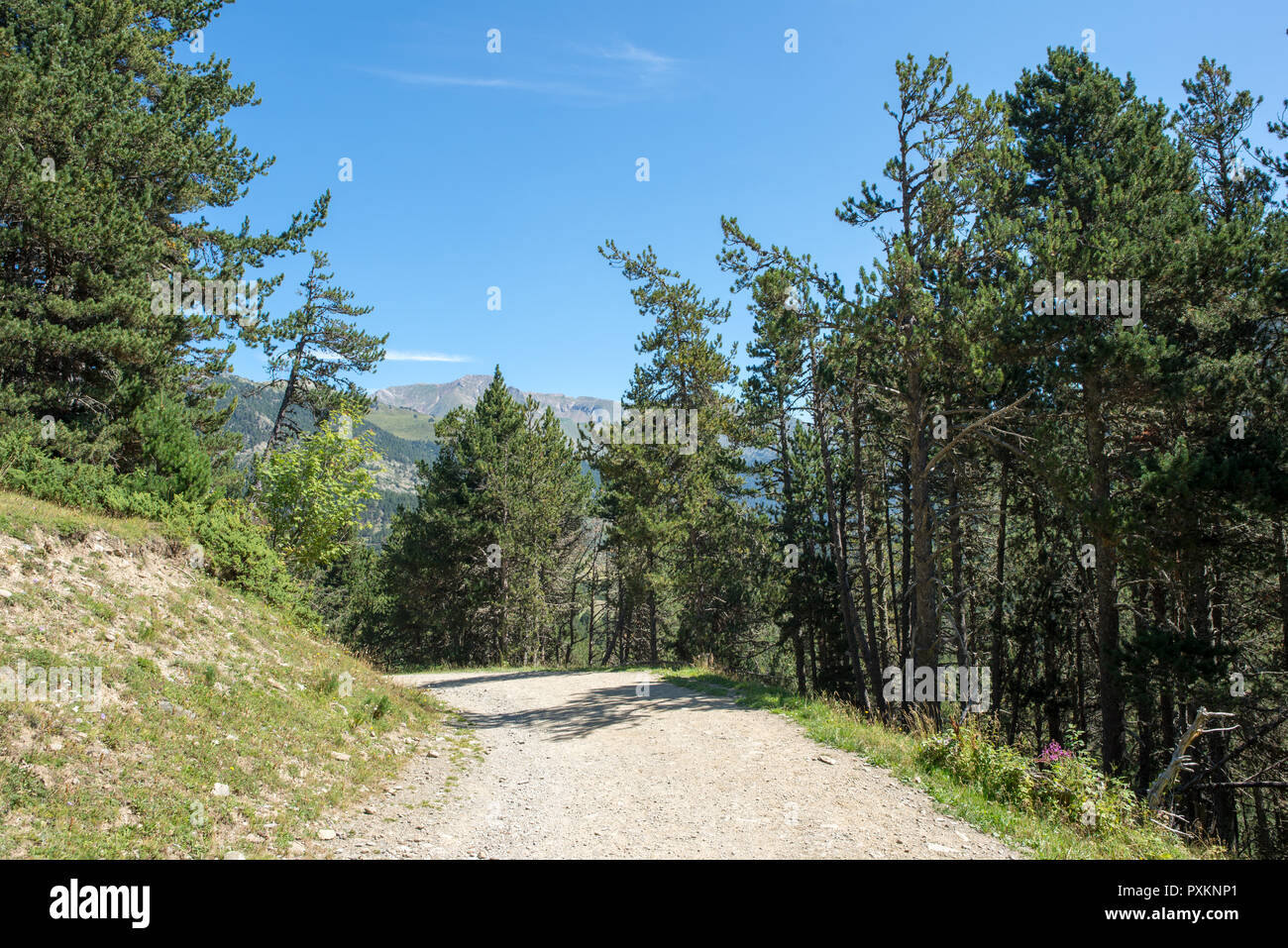Road to Montgarri in the valley of Aran, Spain Stock Photo - Alamy