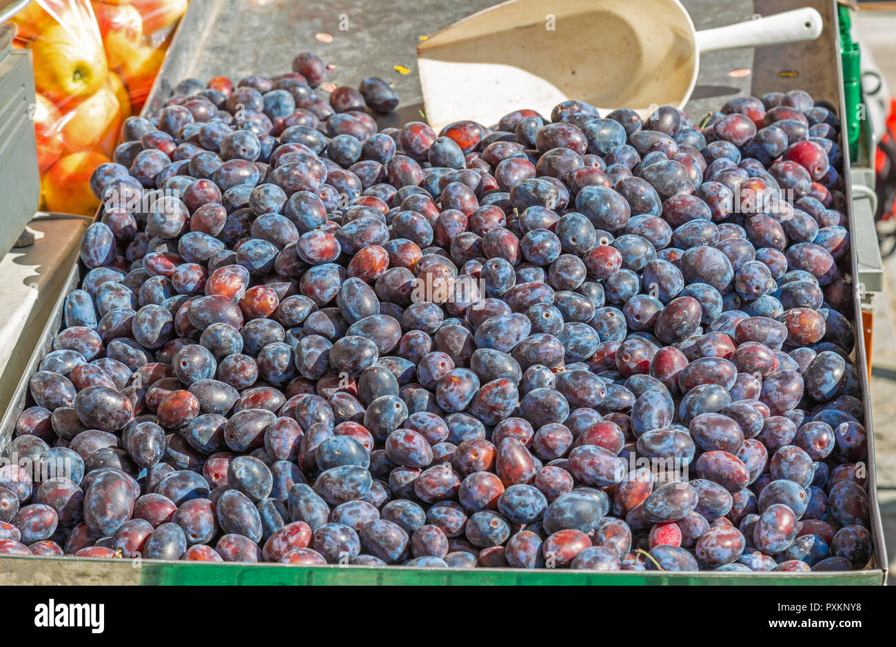 Fresh plums for sale at a market stall in Germany Stock Photo - Alamy