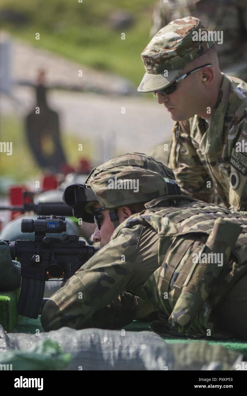 U.S. Army Soldiers, assigned to Multinational Battle Group-East, host a ...