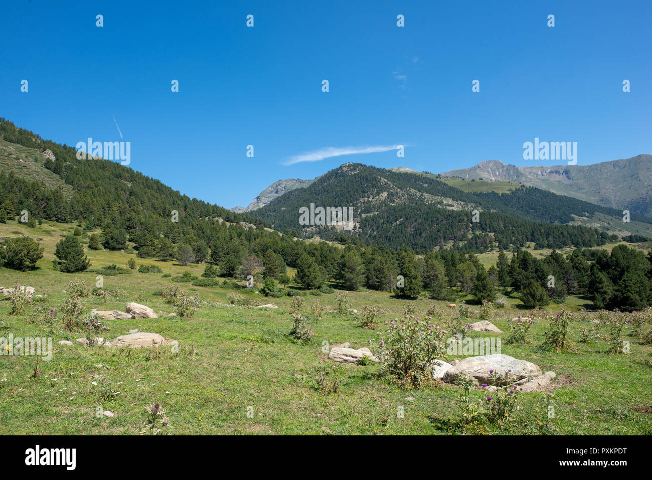 Road to Montgarri in the valley of Aran, Spain Stock Photo - Alamy
