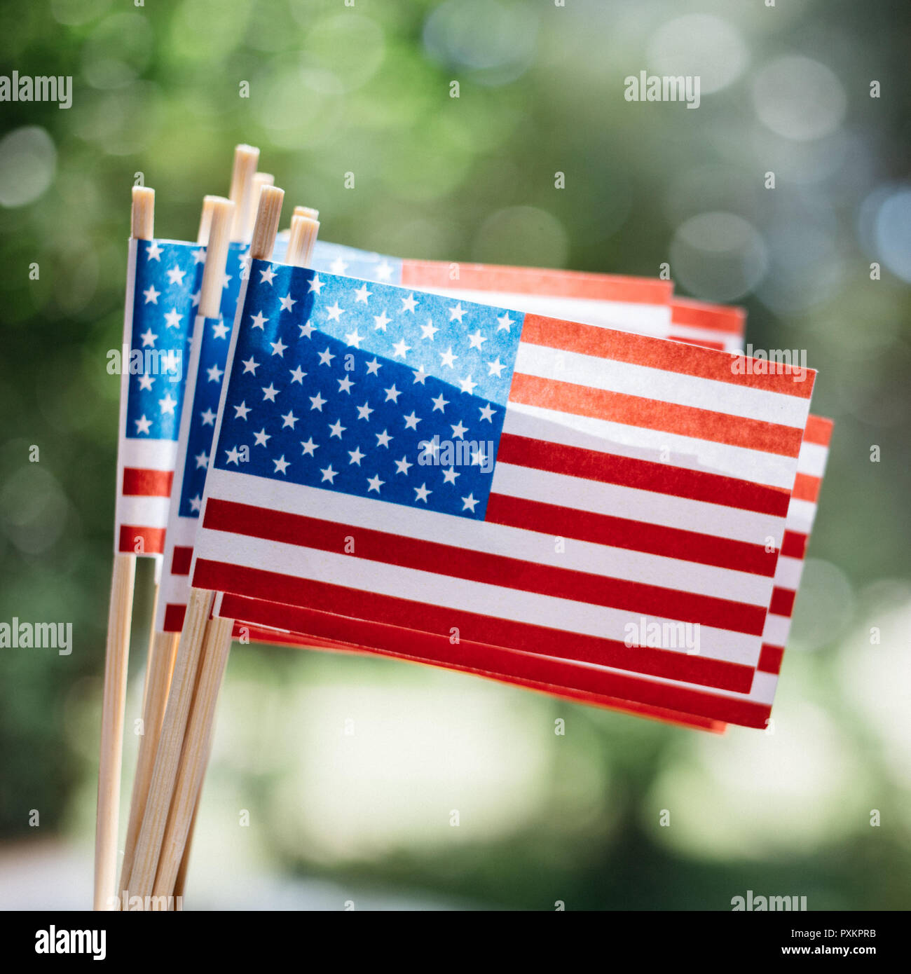 Miniature american flags hi-res stock photography and images - Alamy