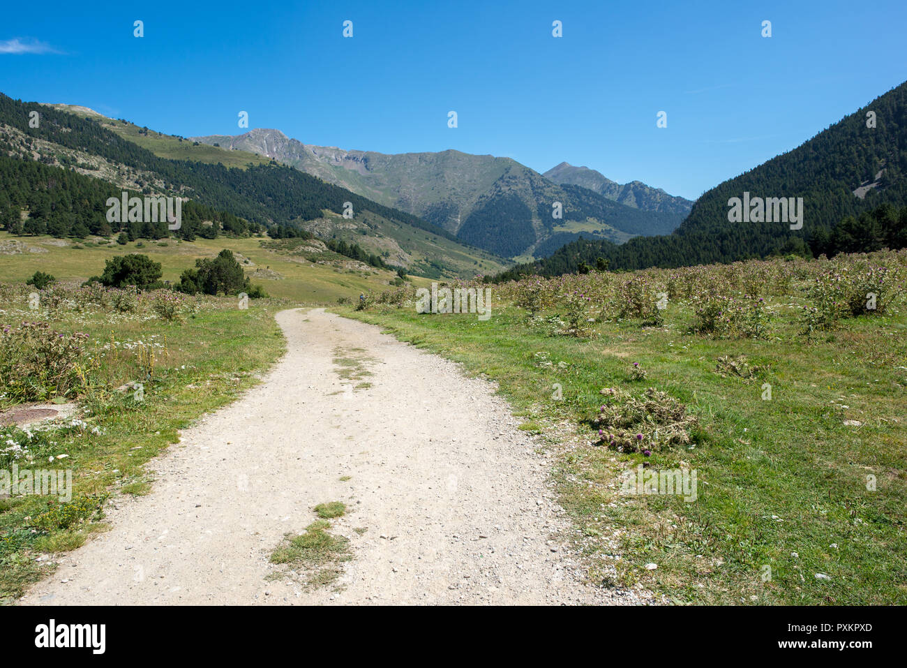 Road to Montgarri in the valley of Aran, Spain Stock Photo - Alamy