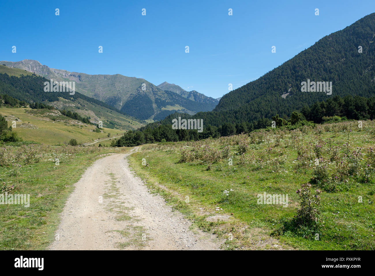 Road to Montgarri in the valley of Aran, Spain Stock Photo - Alamy