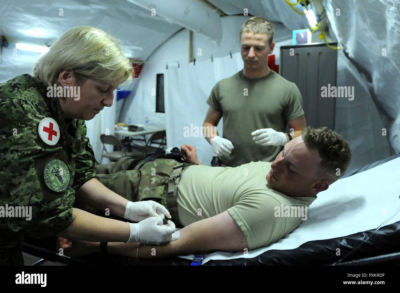 Minnesota Army National Guard Medical Soldiers work alongside Croatian ...