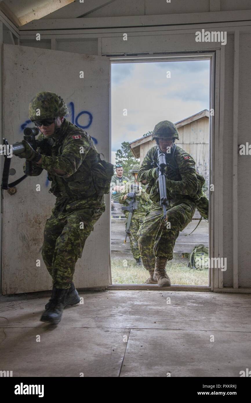 Soldiers of the 3rd Canadian Division, Canadian Army clear a room ...