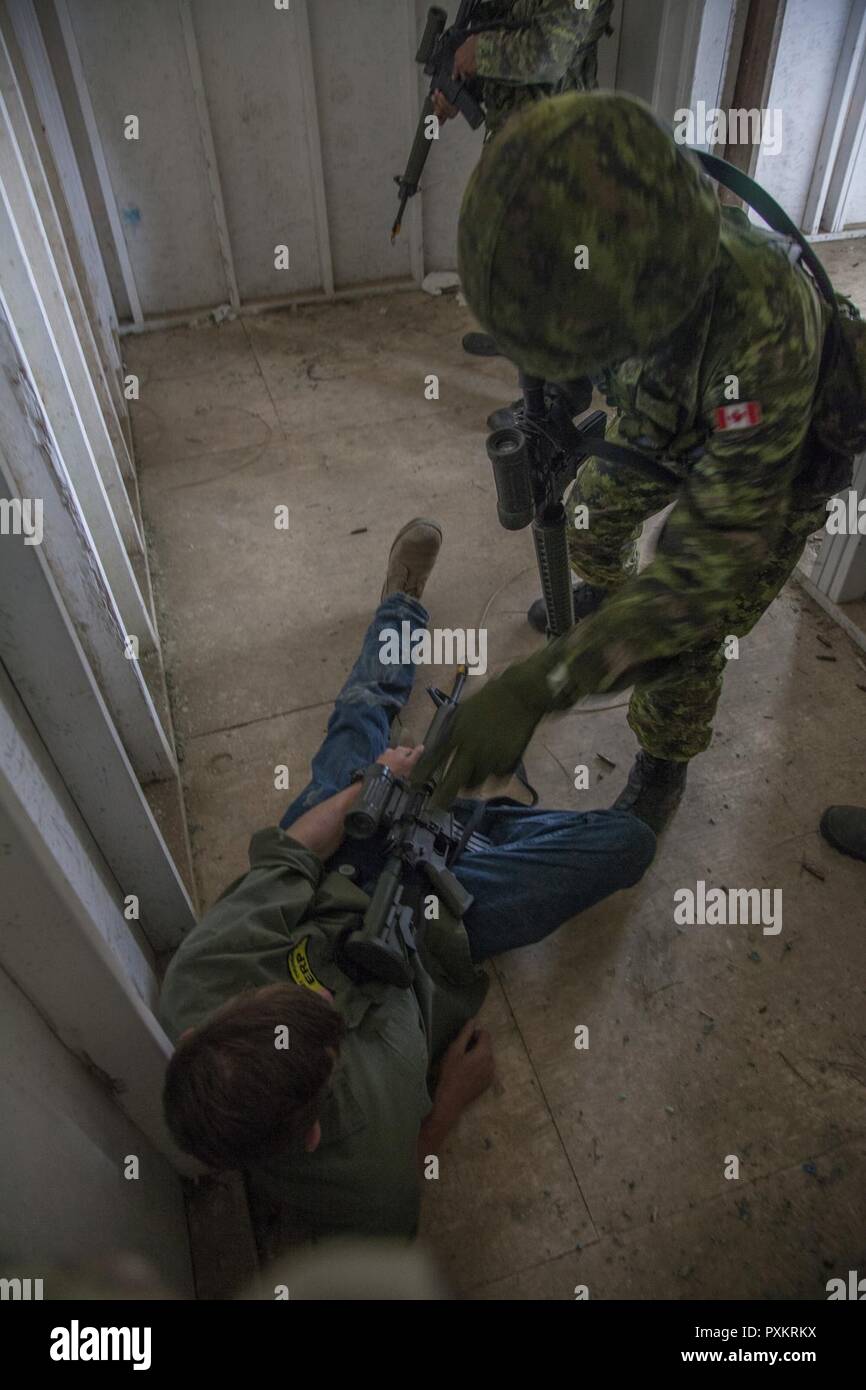 A Soldier of the 3rd Canadian Division, Canadian Army checks the status ...