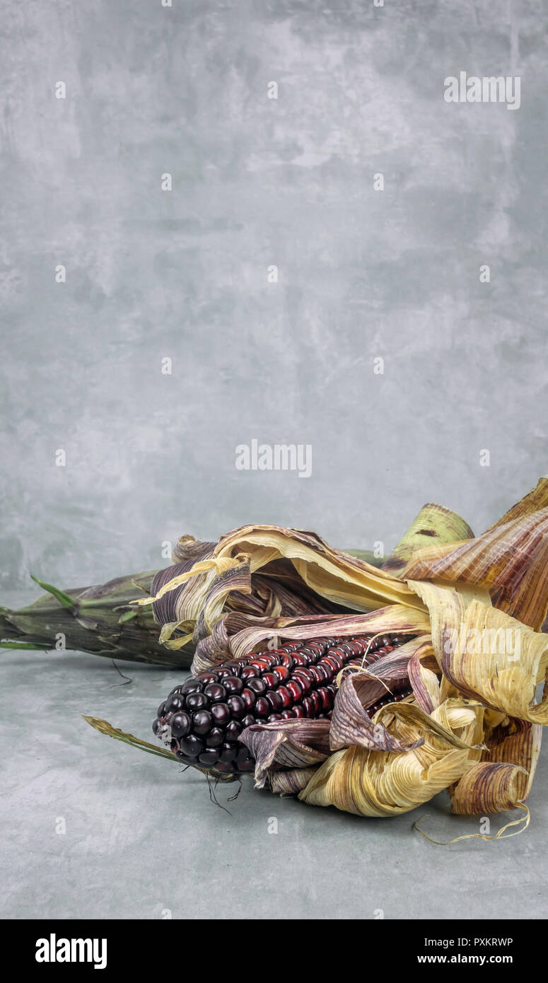 fresh organic purple corn cob with leaves on a cement background with ...