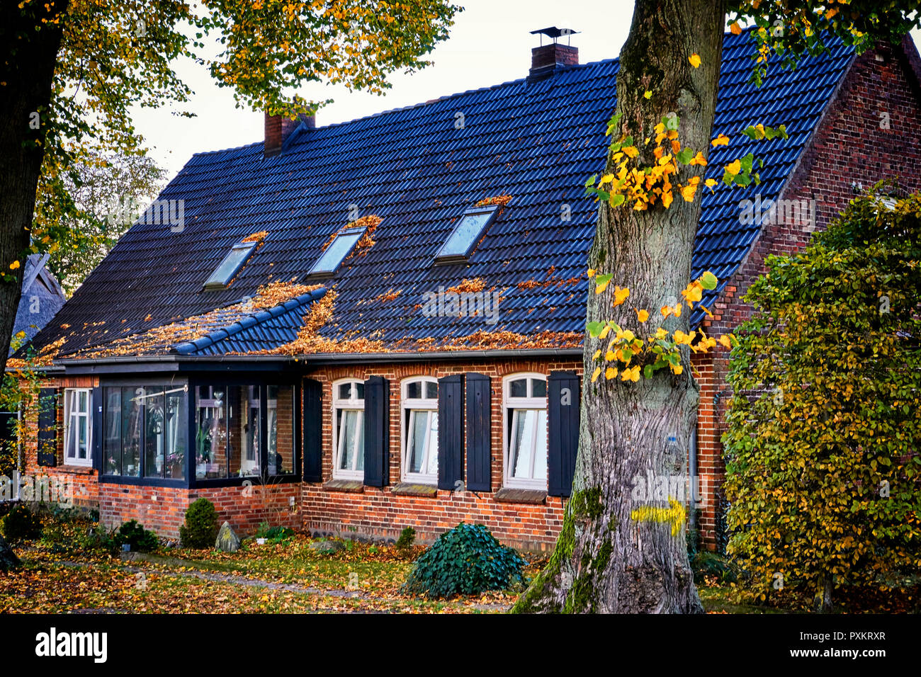 Beautiful country house in autumn Stock Photo - Alamy