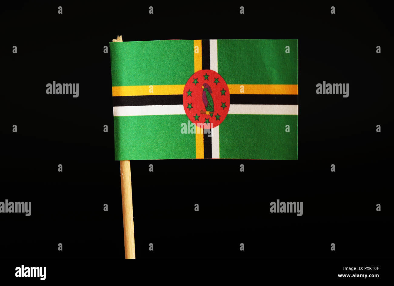 The sisserou parrot hi-res stock photography and images - Alamy